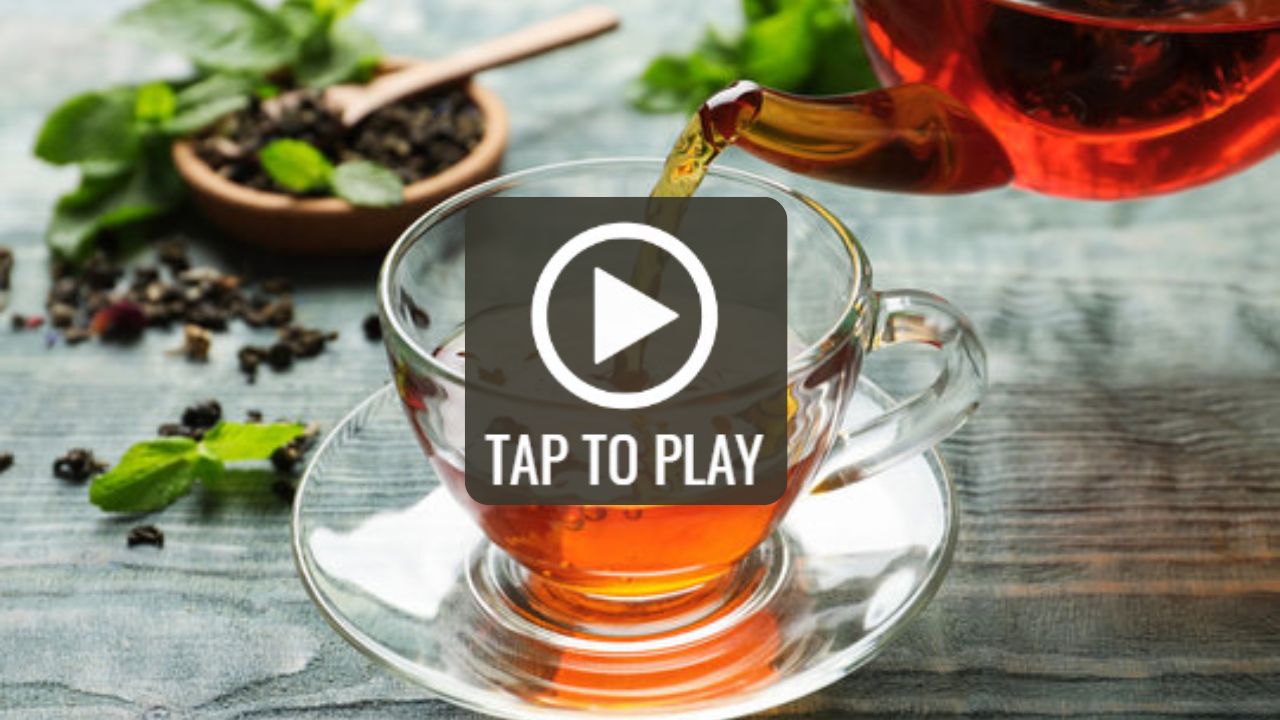 Tea Burn Ingredients Breakdown – Chlorogenic Acid, L‑Carnitine ...