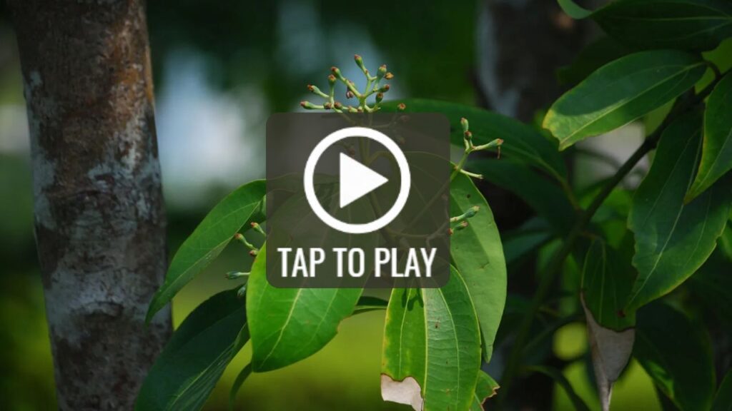How Does GLP-1 Plus Work to Boost Weight Loss and Appetite Control?